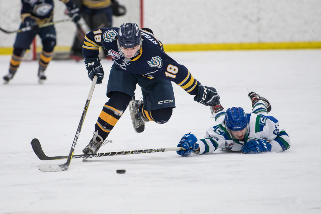 Silverbacks sign AJHL veteran Rybarik | Salmon Arm Silverbacks