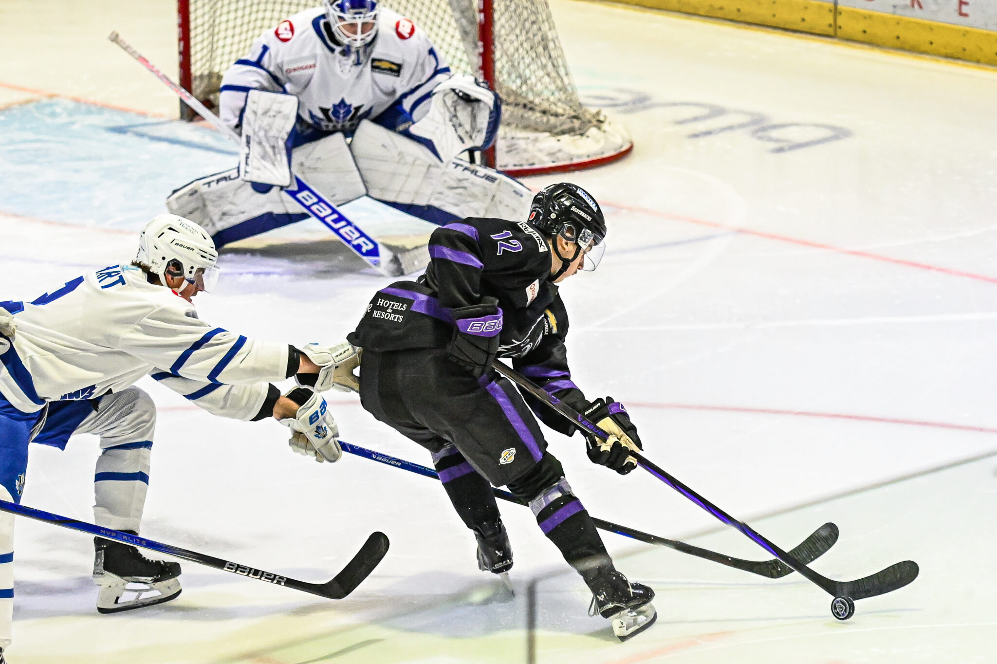 Salmon Arm Silverbacks