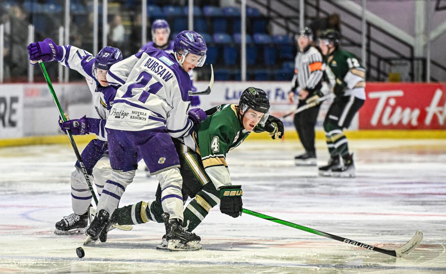 Salmon Arm Silverbacks